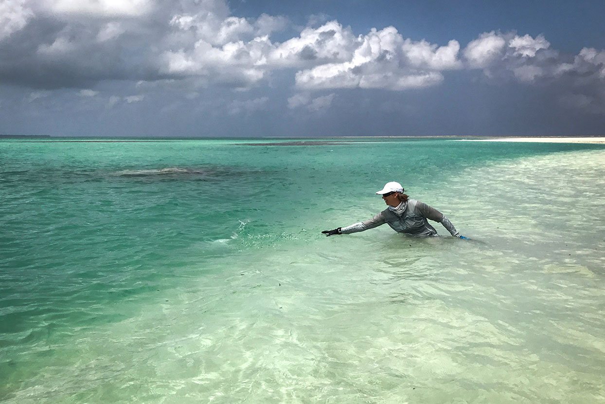 Seychellen - Alphonse Island