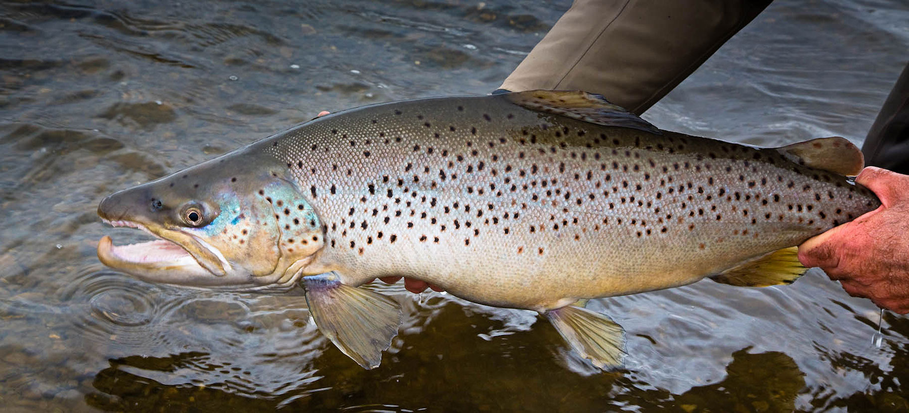 Argentinien - Villa Maria Lodge