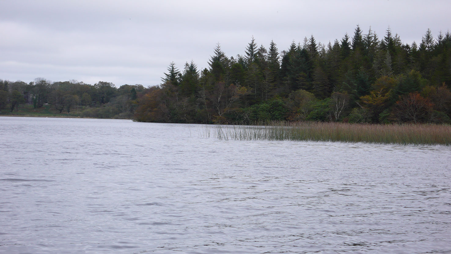 Irland - Doon Shore House - Meadowview