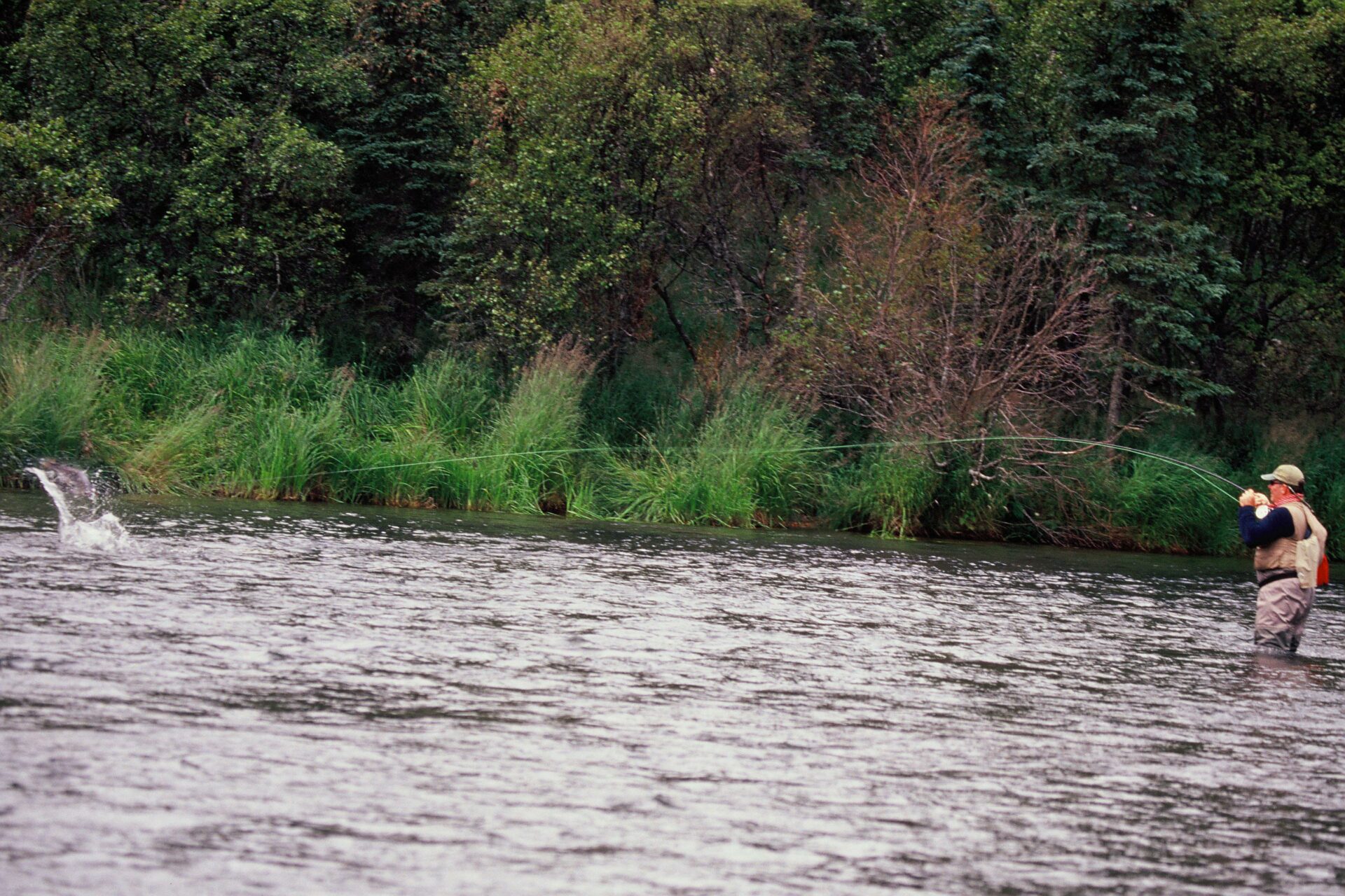 Alaska - Alagnak River Lodge