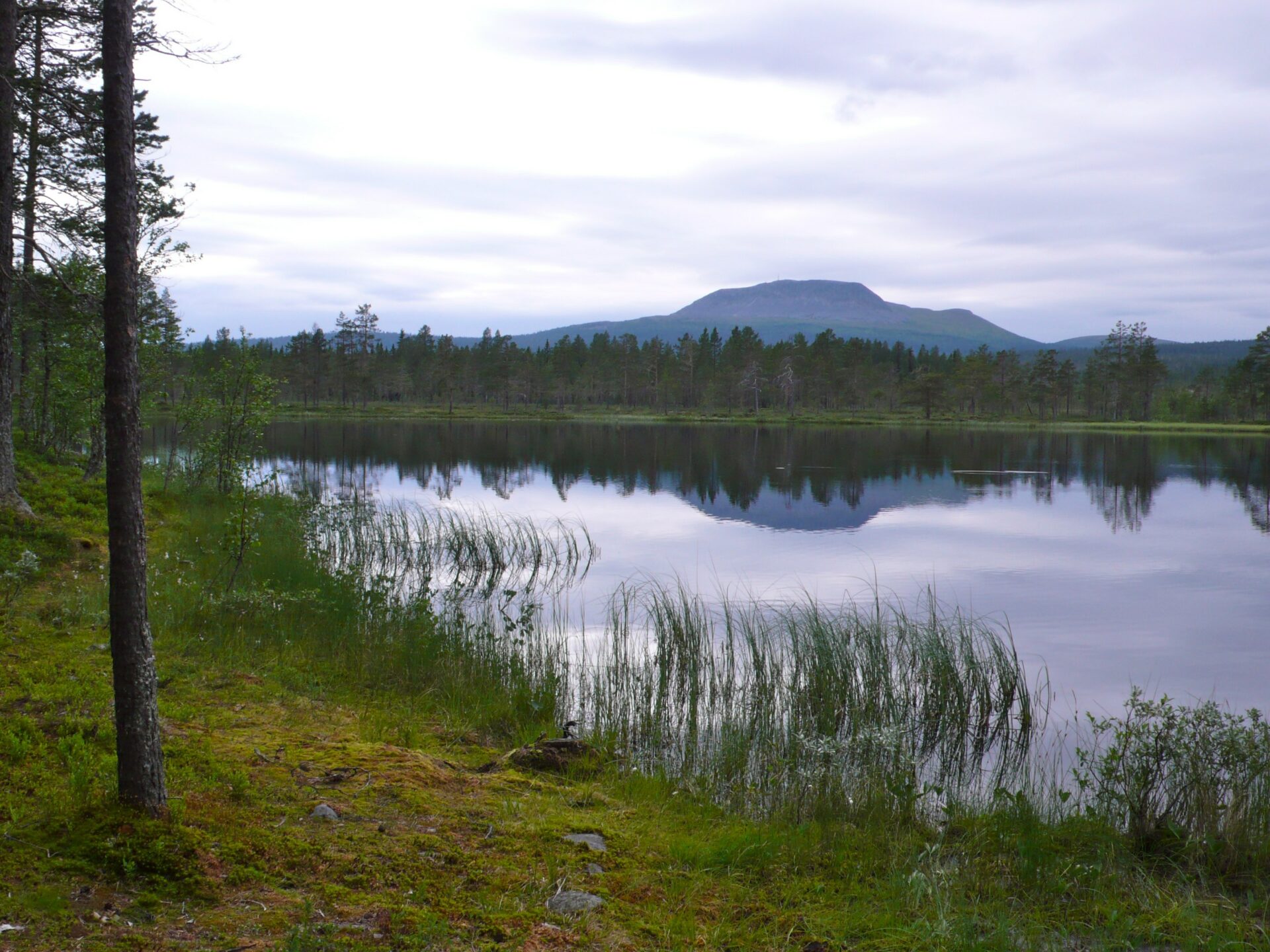 Schweden - Lofsdalen