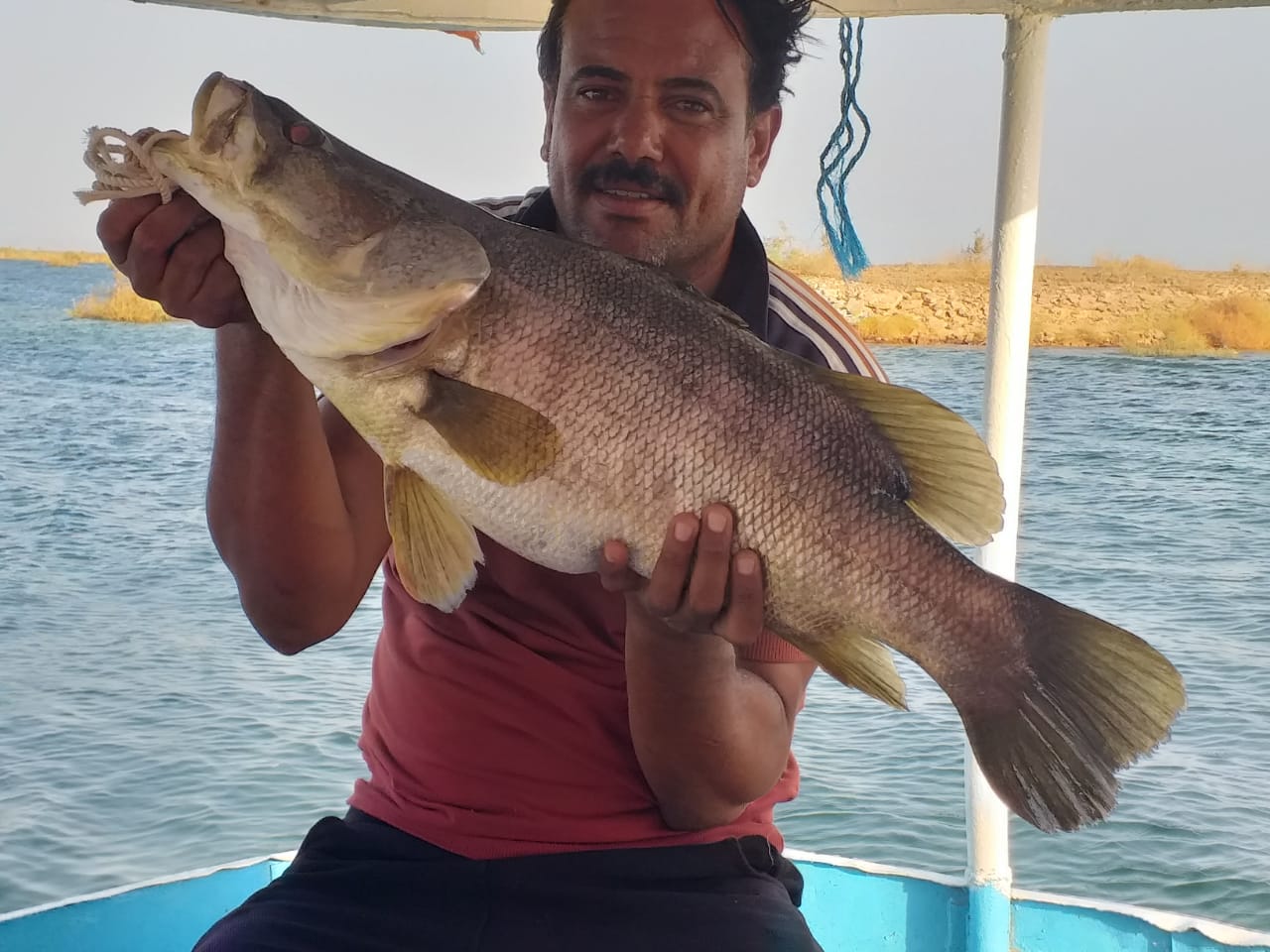 Ägypten - Lake Nasser