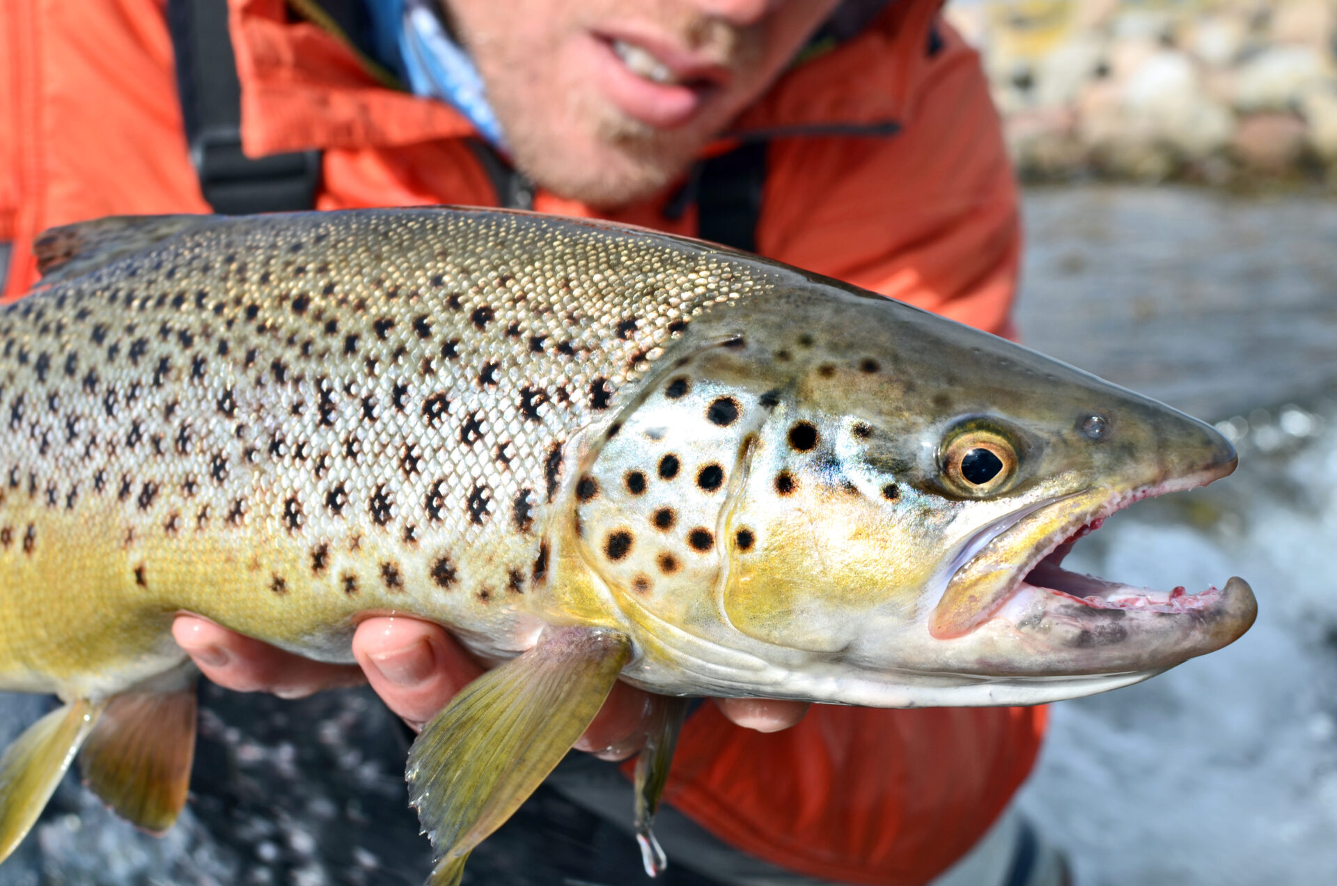 Dänemark - Denmark Fishing Lodge
