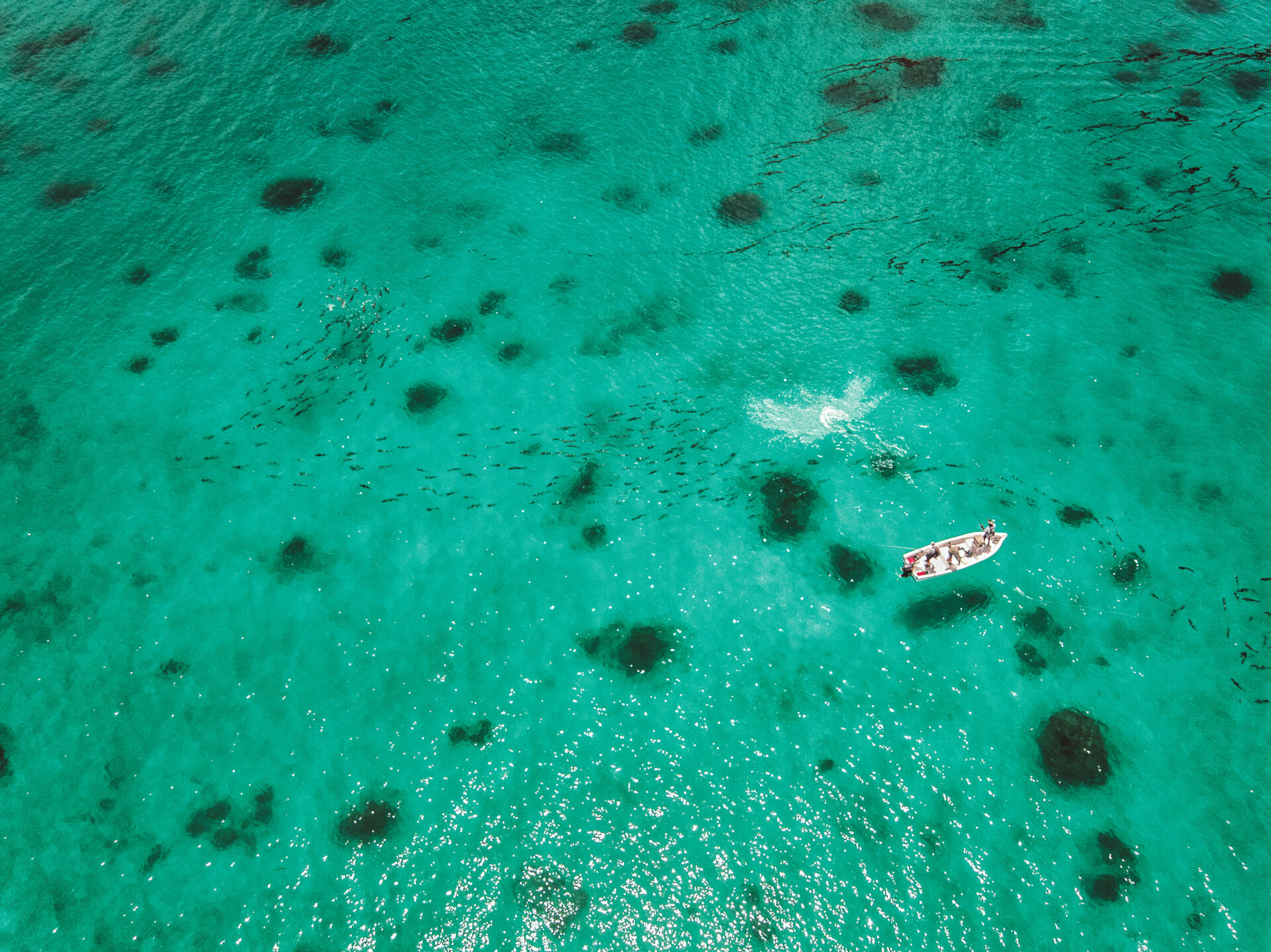Seychellen - Cosmoledo Atoll